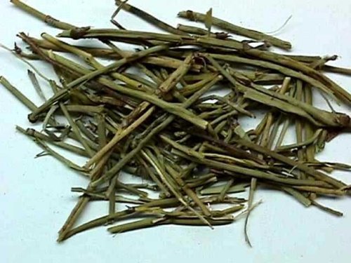 7 Magical herbs to treat wheezing naturally - Global Healthcare Guide ...